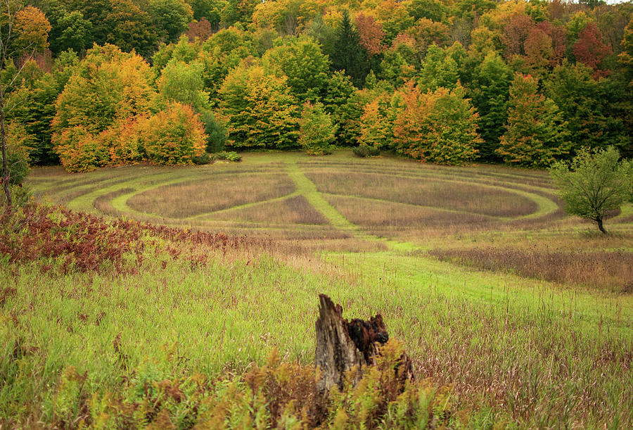 Peace sign mowed in an Autumn field Photograph by Cassandra Zuidema ...