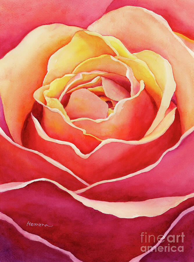 Peach Rose 3 by Hailey E Herrera