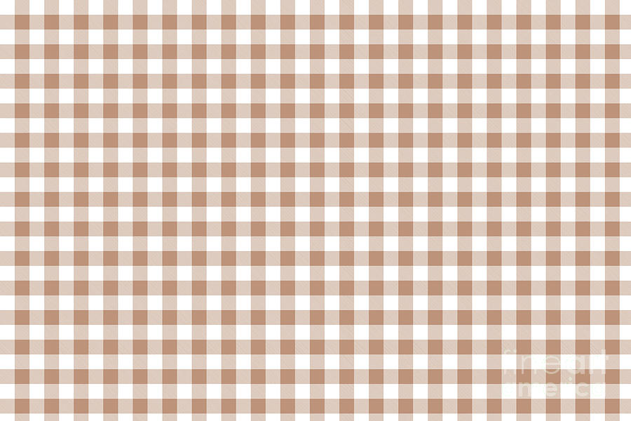 Peach White Buffalo Plaid Checkerboard Pattern Pairs 2023 COTY Desert ...