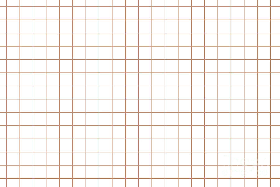 Peach White Grid Pattern Pairs 2023 COTY Desert Carnation 2005-7C ...