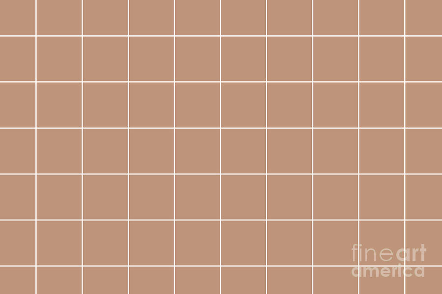 Peach White Minimal Square Diamond Grid Pattern 2 Pairs 2023 COTY ...