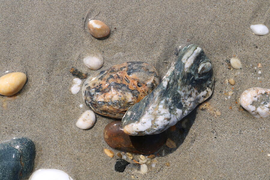 Pebble Collection Photograph by Michaela Perryman - Pixels