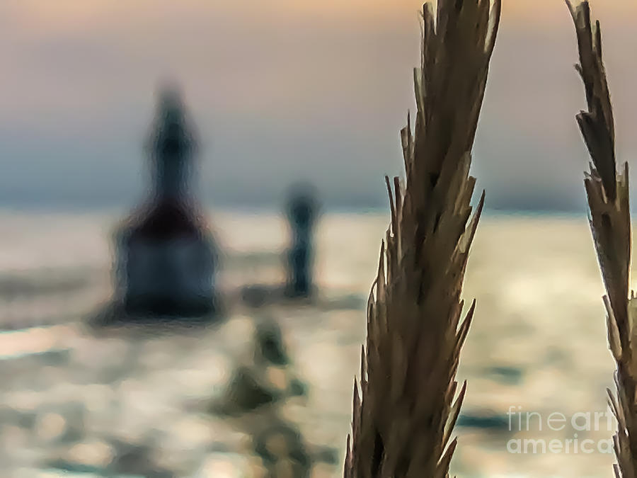 Perception Photograph By Matthew Enders Fine Art America