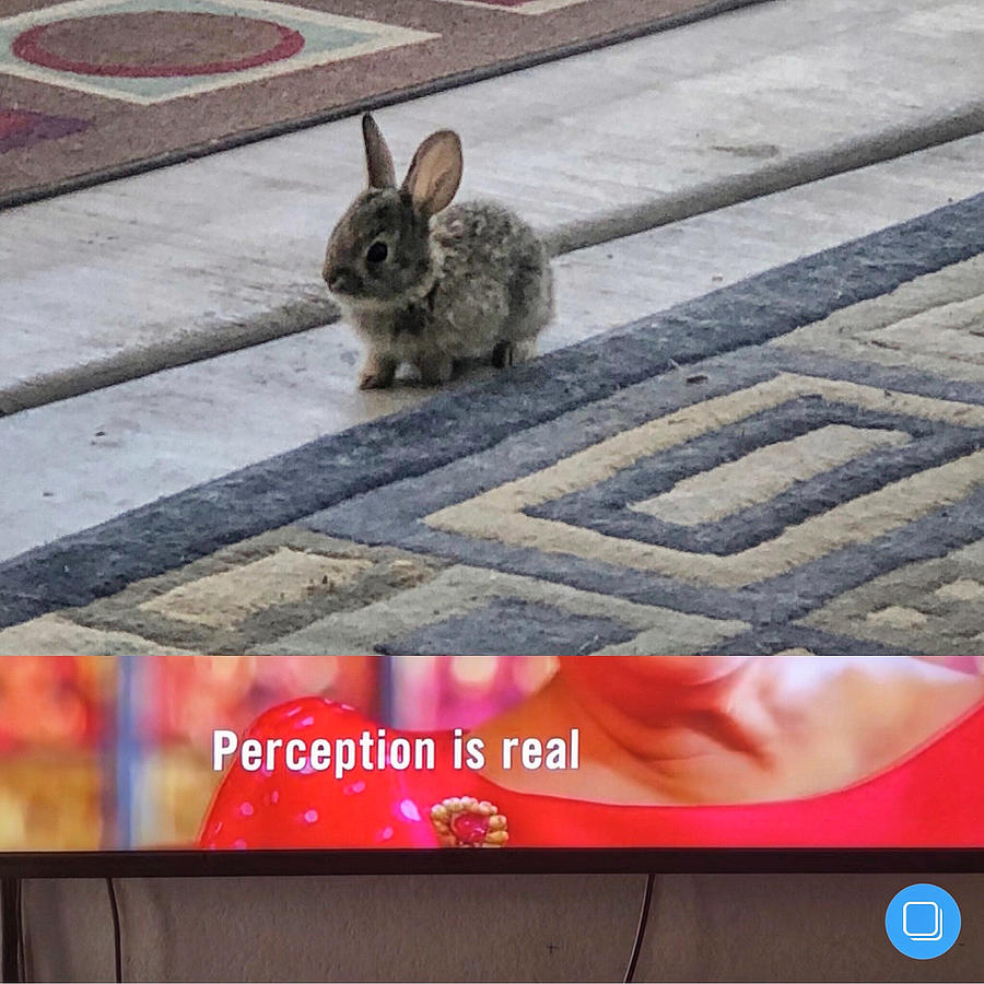 Perception Is Real Digital Art by Christopher Louis Derrico - Fine Art ...