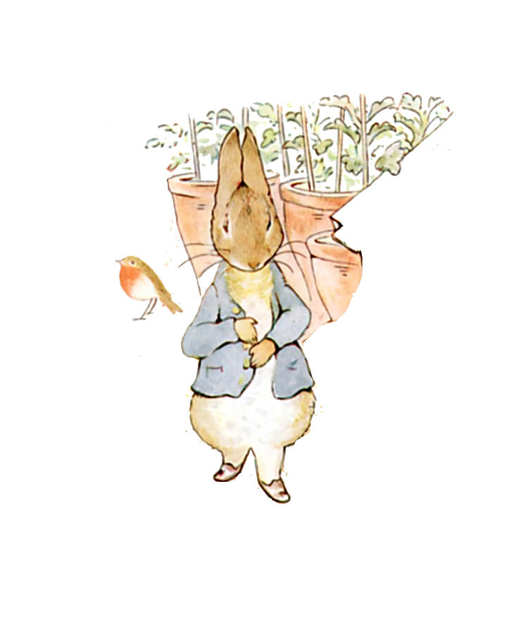 Peter Rabbit in the Garden Poster stars Painting by Bennett Yasmine ...