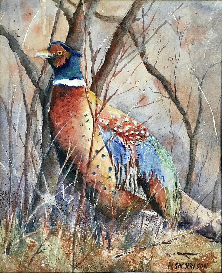 Pheasant Painting by Nancy Sackrison - Fine Art America