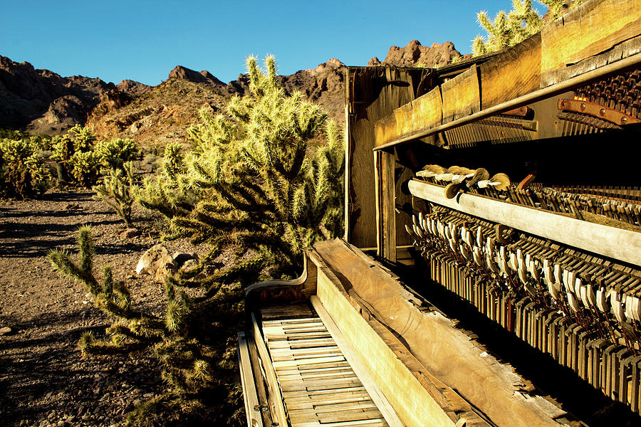 Piano in the Desert Photograph by Lauren Petre - Fine Art America
