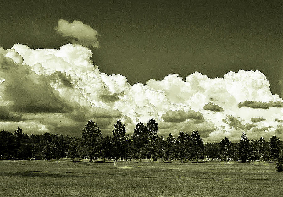 Pinewood Golf Course Monsoon Approaching III Photograph by Caroline ...