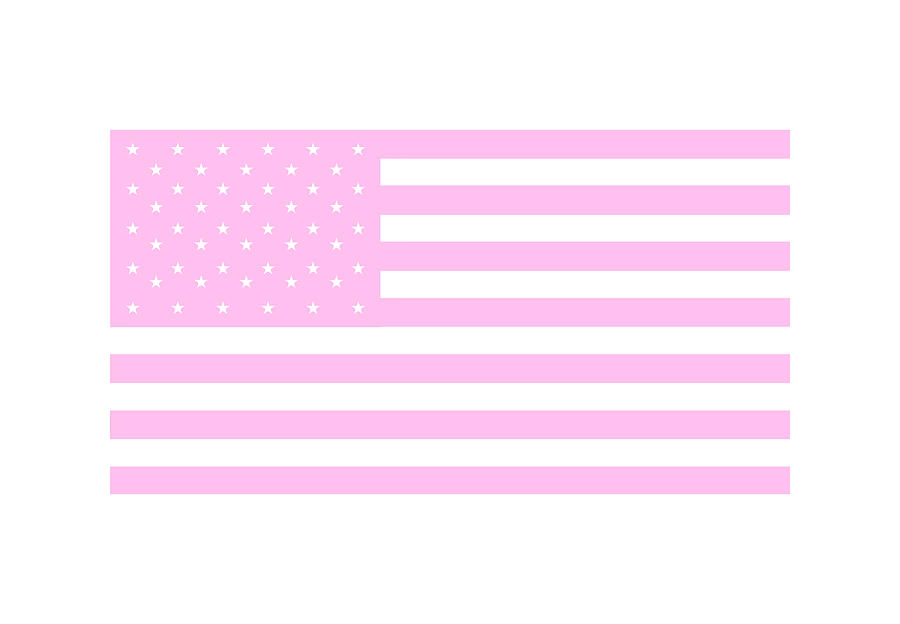 Pink American Flag. Digital Art by Tom Hill - Fine Art America