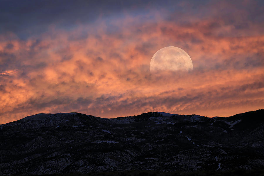 Pink Supermoon Setting at Sunrise Photograph by Donna Kennedy - Fine ...
