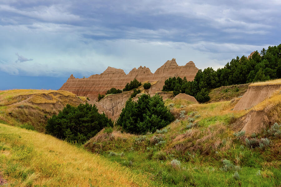 Pinnacales Photograph by David Hahn - Fine Art America
