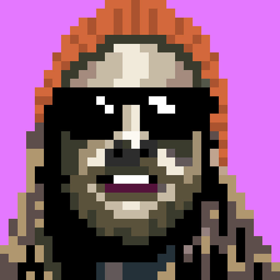 Pixel art portrait of Stok - hacker, bug bounty hunter. Digital Art by ...