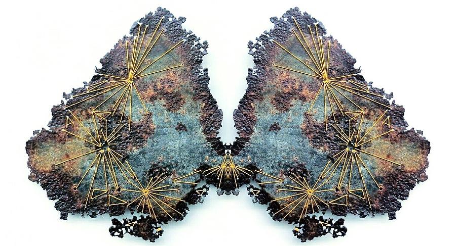 Pixie Moth Digital Art by Julie Corcoran | Fine Art America