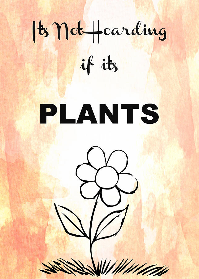 Plant Humor Text Art Photograph by Marilyn DeBlock - Pixels