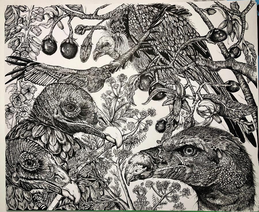 Poison Plants and Raptor Birds Drawing by Amy Weldner | Pixels
