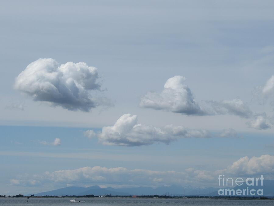 Animal Shape Cloud Formations Photograph by Lesley Evered - Fine Art ...