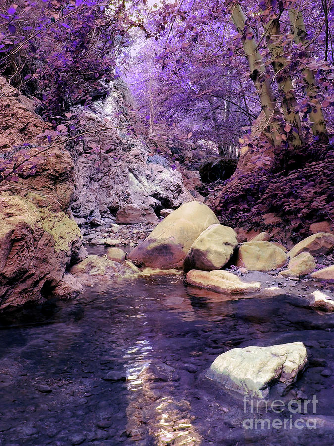 Pool of Water Photograph by Robert Ball - Fine Art America