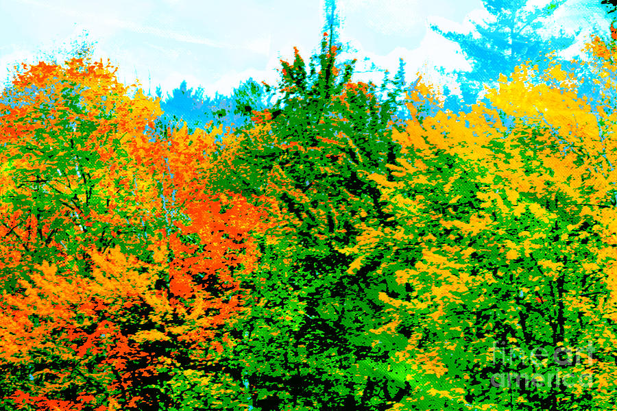 Pop Art Fall Foliage Photograph by Diann Fisher - Fine Art America