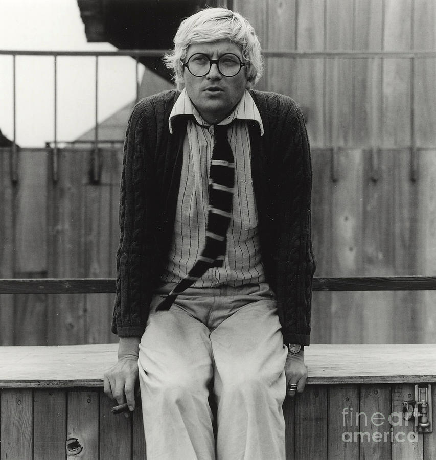 Portrait of David Hockney by Robert Maplethorpe Digital Art by Diane Hocker | Pixels