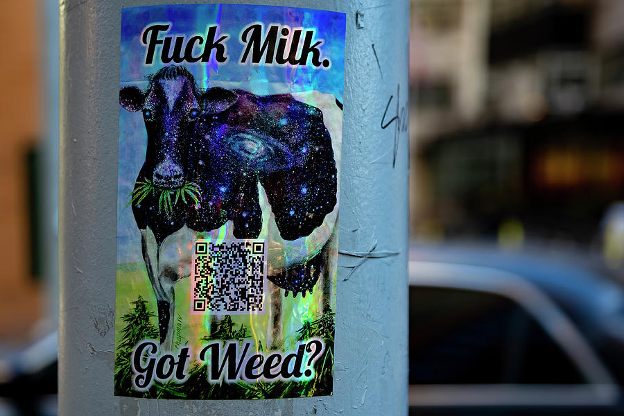 Pro Weed Sticker Photograph by Robert Ullmann - Fine Art America