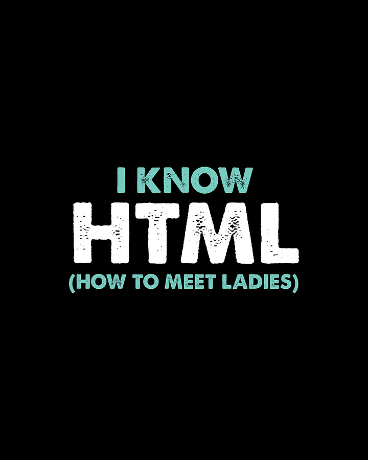 Programming Decipher Programmer Computer Technician Encoder Gift I Know HTML Flirting Lovers ...