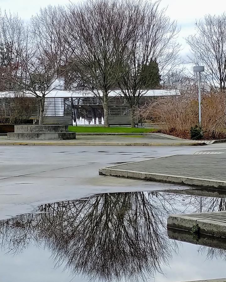 Puddle Reflection Photograph by Darrell MacIver - Pixels