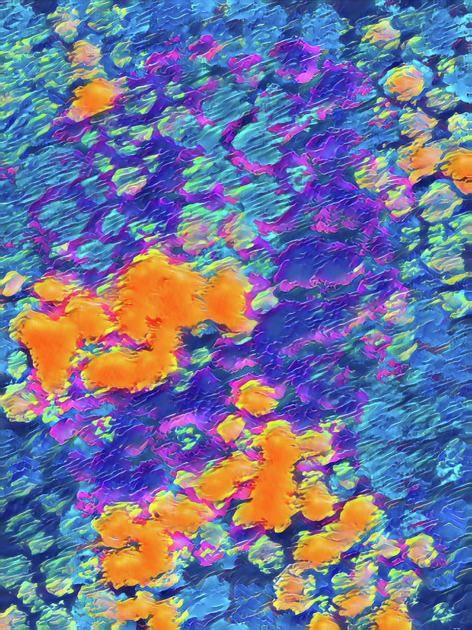 Puddle Reflections Digital Art by Michelle Hoffmann - Fine Art America