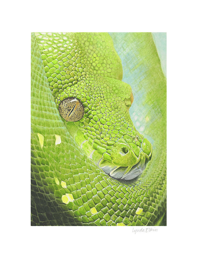 Python Painting by Lynda Elkin - Fine Art America