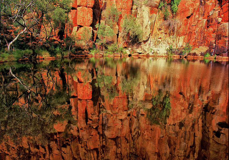 Python Pool 2 Photograph by Bette Devine - Fine Art America