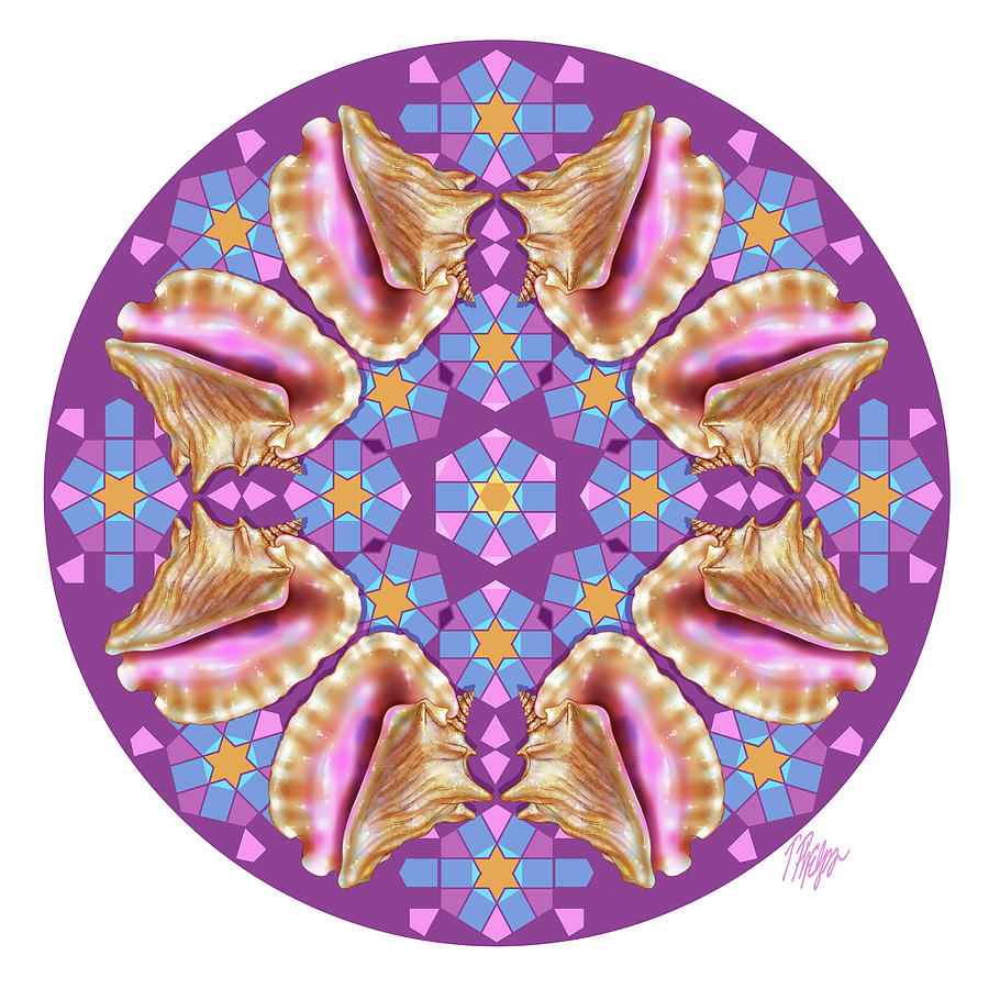Queen Conch Hexagon Mandala Digital Art by Tim Phelps - Pixels
