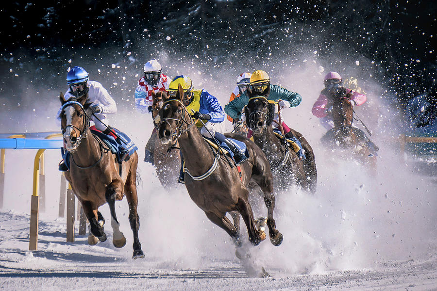 Race Horses on Ice Photograph by Running Brook Galleries - Fine Art America