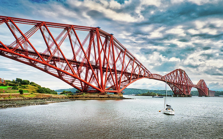 Reaching Forth Photograph by Martyn Boyd - Fine Art America