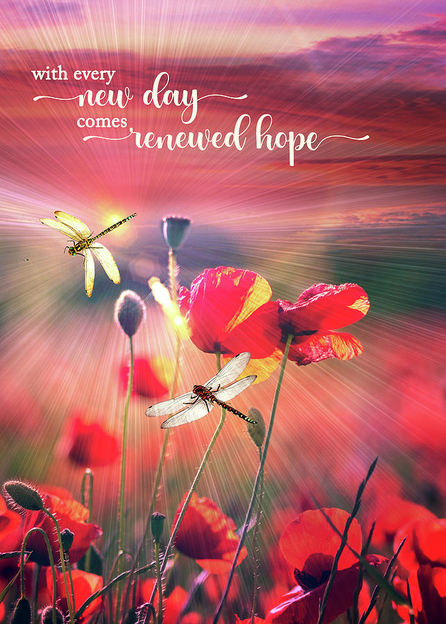 Recovery Summer Poppies and Dragonflies Digital Art by Doreen Erhardt ...