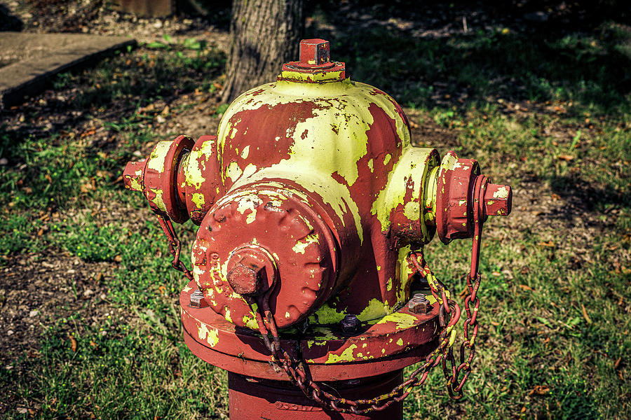 Red and Yellow Fire Hydrant Bonnet Photograph by Enzwell Designs - Fine ...