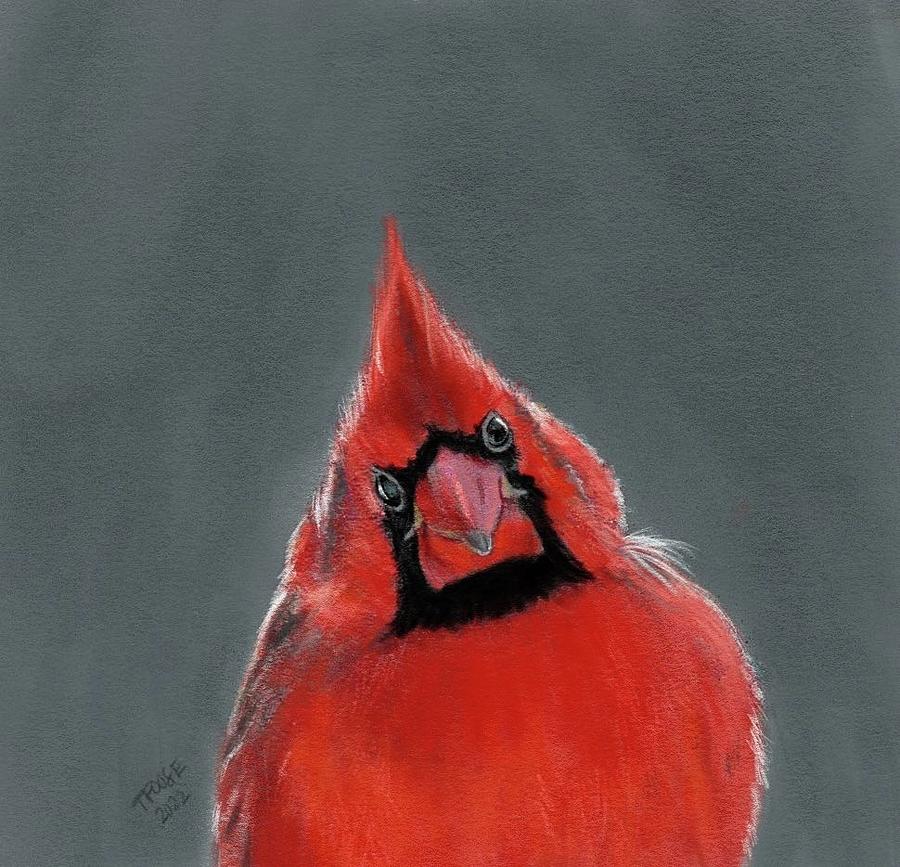 Red Cardinal Digital 2 Mixed Media by Taphath Foose - Fine Art America