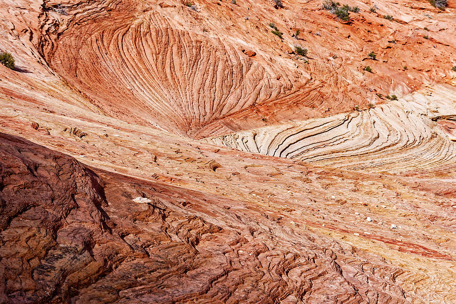 Red Rock Patterns Photograph by Rick Ulmer - Fine Art America