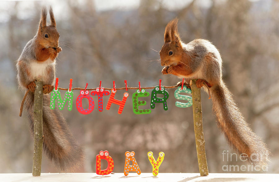 Red Squirrels Standing On Tree Sticks With The Word Mothers Day ...