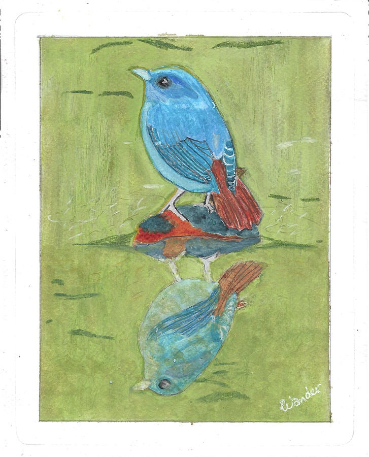 Redstart Reflection Painting by Nathaniel Wander - Fine Art America