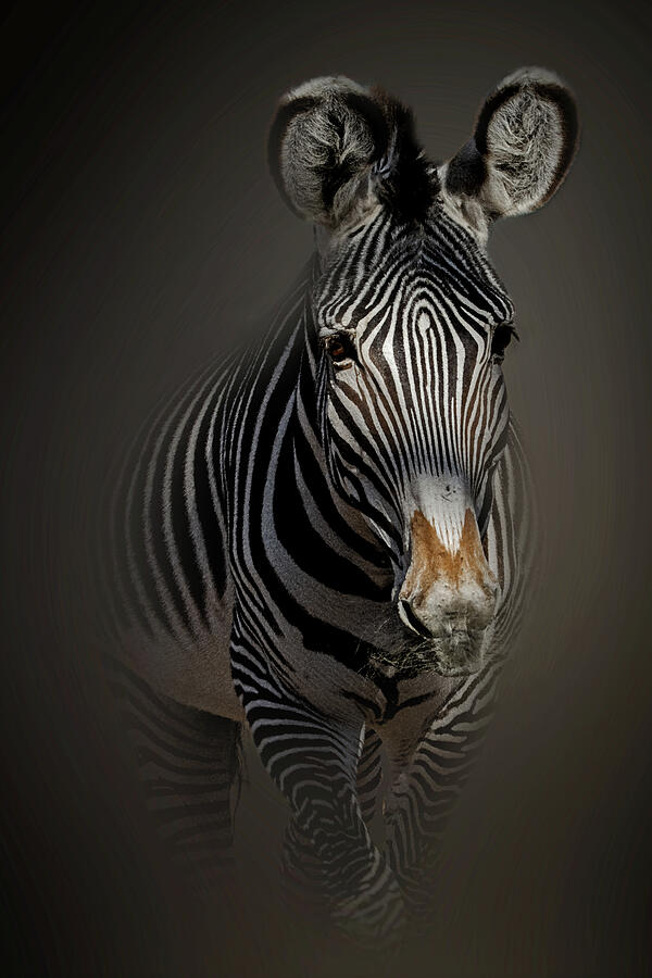 Referee Photograph by Ben Zell - Pixels