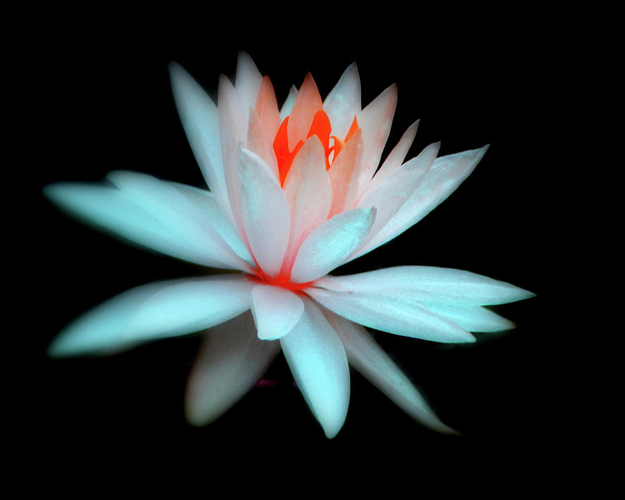 Reflection Photograph by Michael Dashuta - Fine Art America