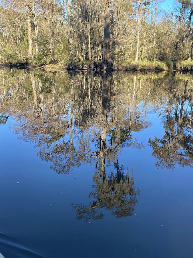 Reflection on the bayou Photograph by Flower Edmiston - Fine Art America
