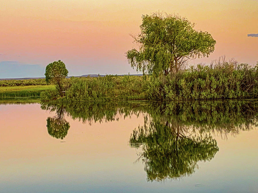 Reflections of Peace Photograph by Marla Steinke - Fine Art America