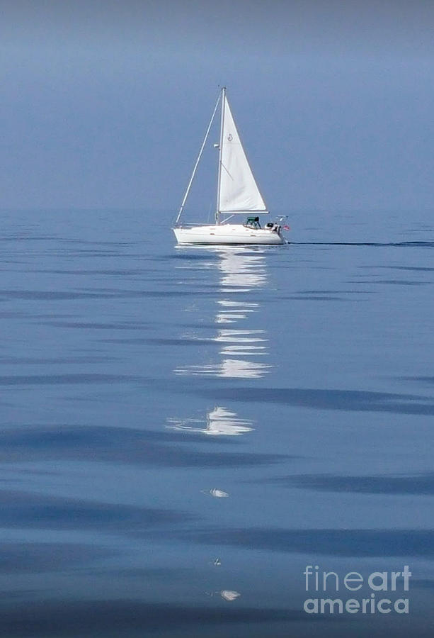 Reflections Photograph by Patricia Rivas - Fine Art America