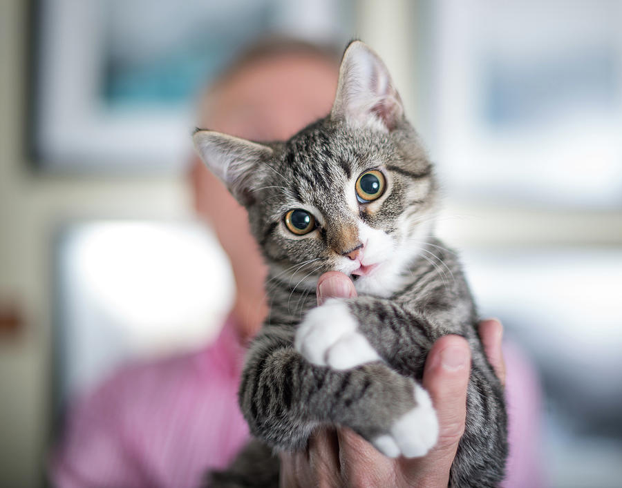 Reilly Digital Art by Brian Sprague Photography LLC - Fine Art America