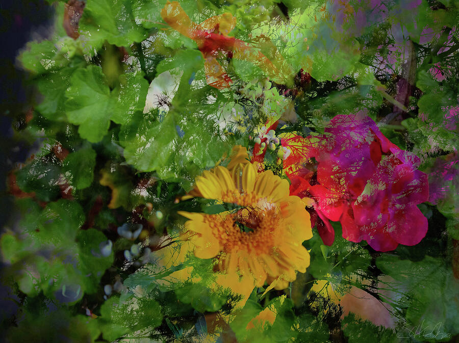 Remembering Photograph by Scott Hicks - Fine Art America