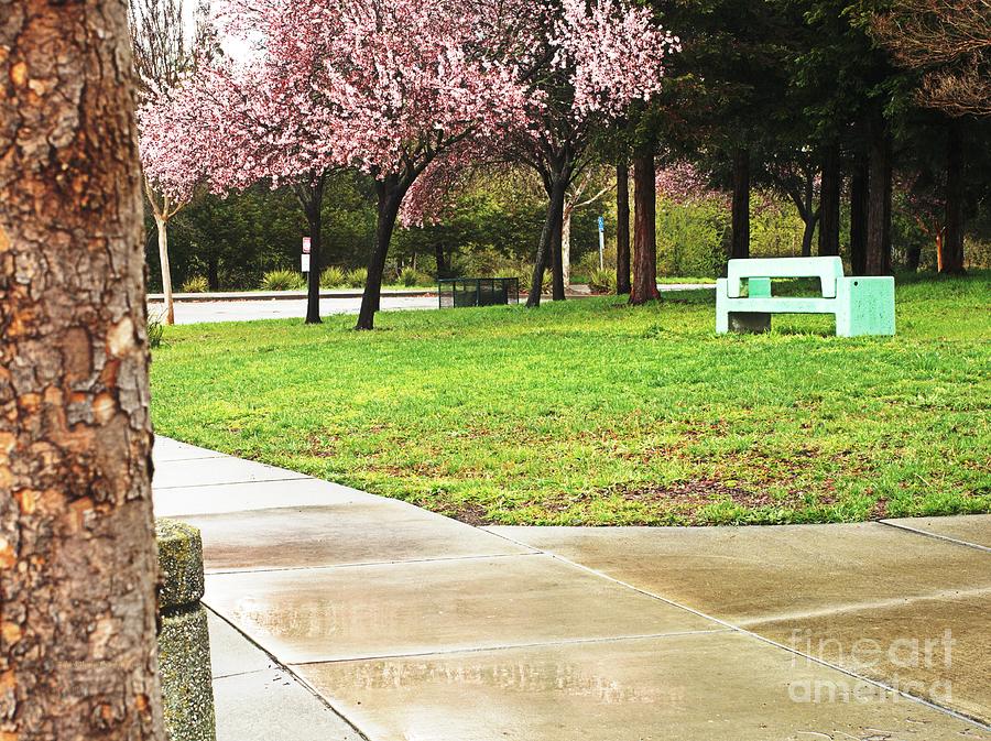 Rest and Reflection Photograph by Richard Thomas - Fine Art America