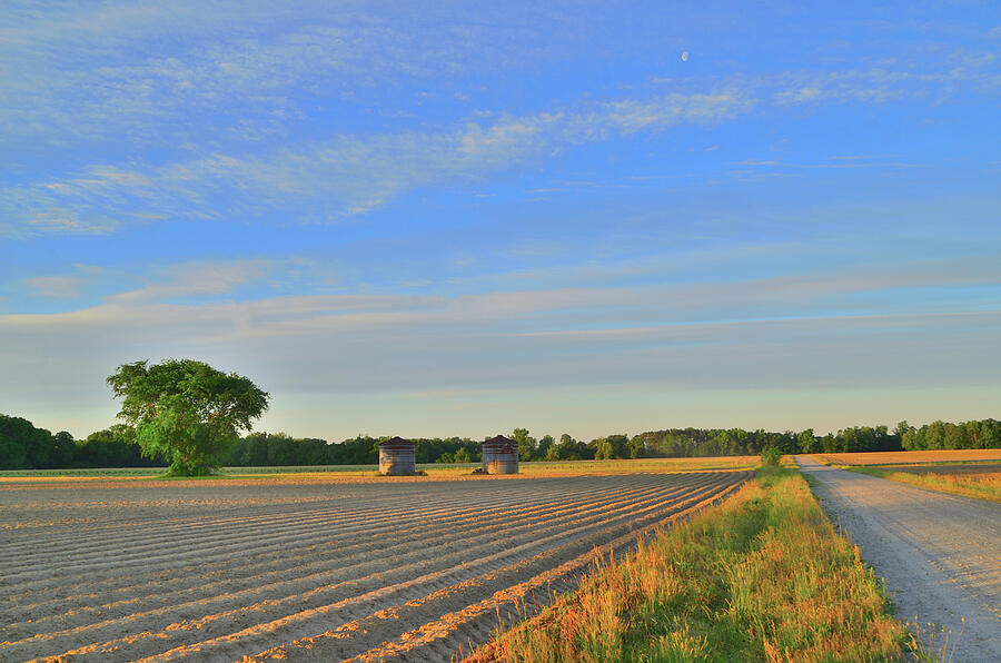 Reverse Pattern Photograph by Eric Towell - Fine Art America