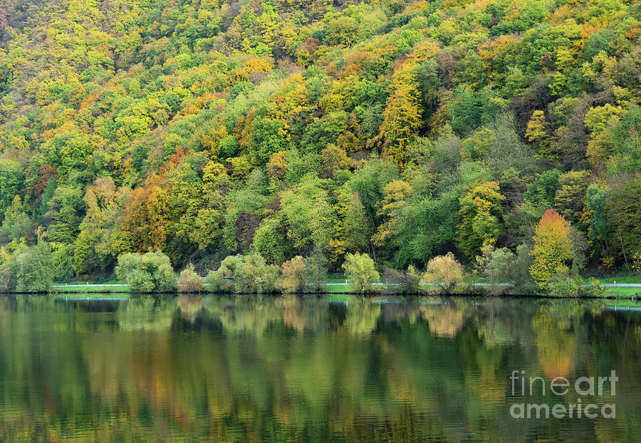 Rhine River Reflections Photograph by Nick Boren - Fine Art America