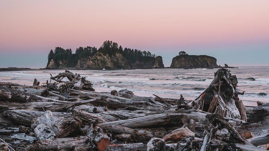 Rialto Beach Driftwood Sunrise Photograph By Bella B Photography Fine