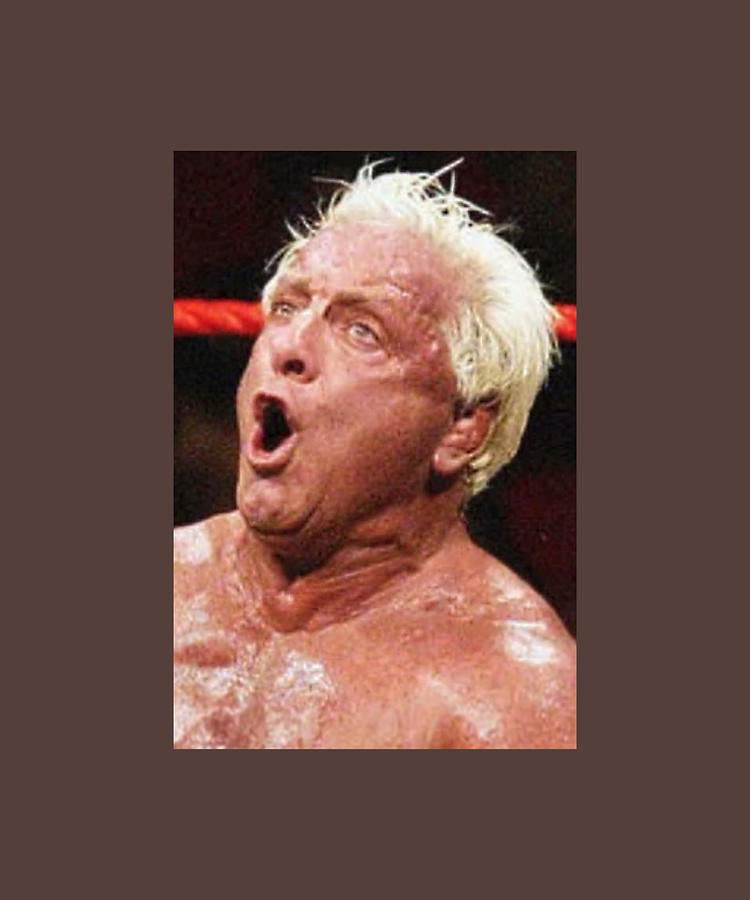 Ric Flair T retro Painting by Saunders Bennett | Pixels